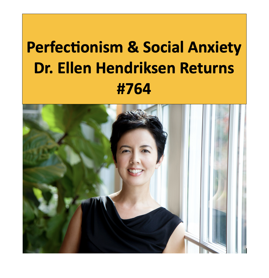 Social Anxiety Perfectionism Dr Ellen Hendriksen Returns The